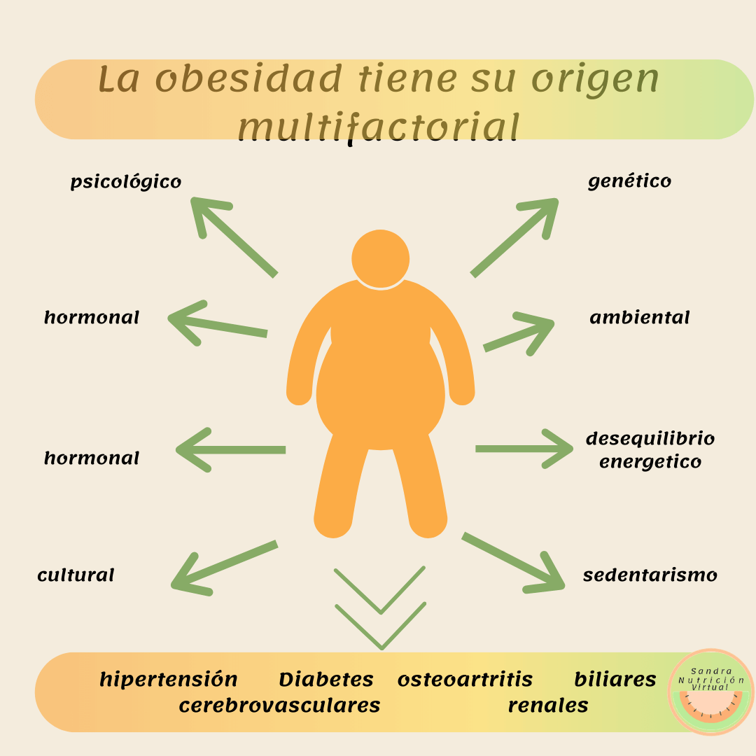 ¿Qué es el IMC y Cómo me beneficia?